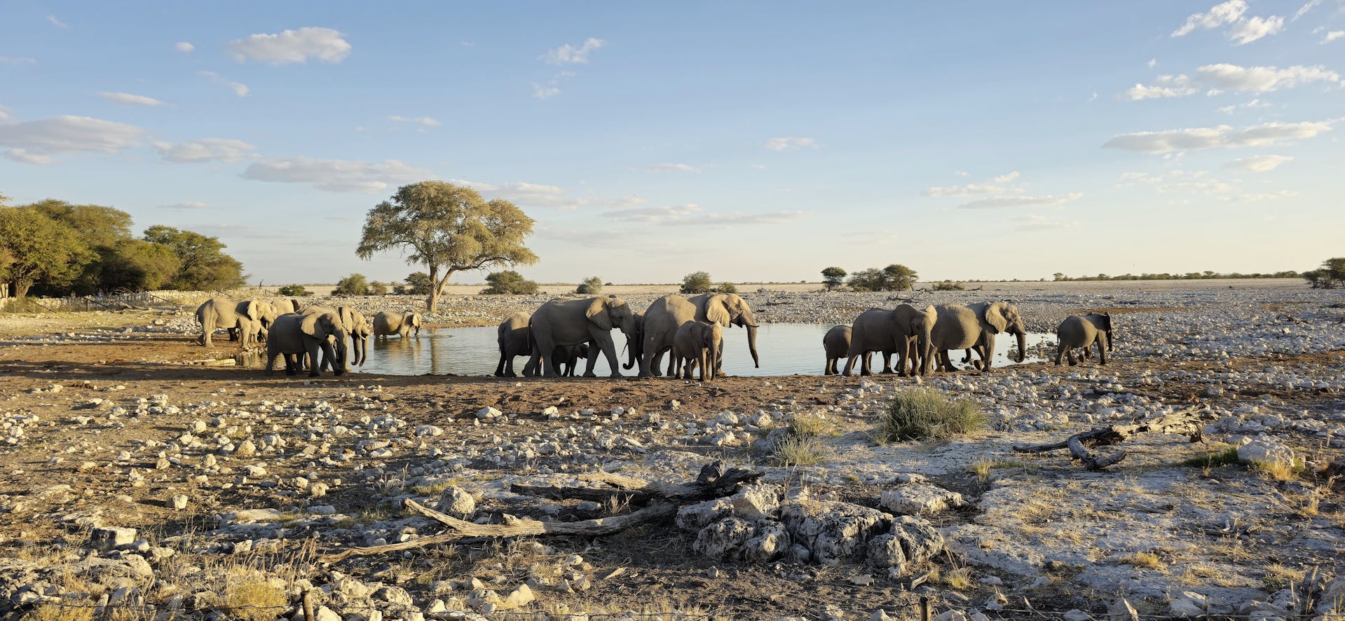 Namibia Safaris & Tours | Best Packages, Costs & Travel Guide